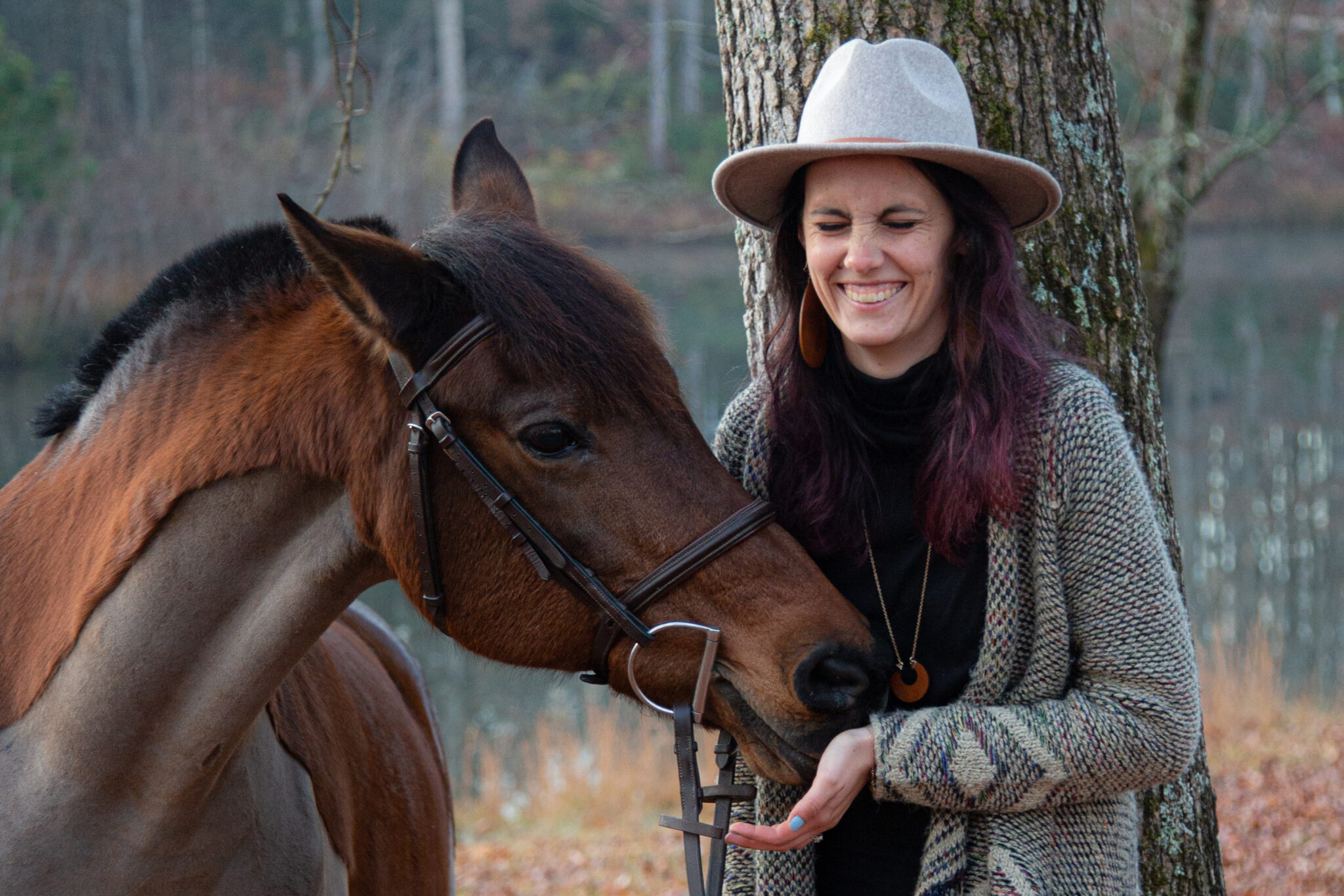 Board – Foothills Riding Club